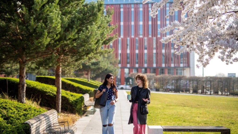 How to Secure Admission as an International Student in UK Universities ...